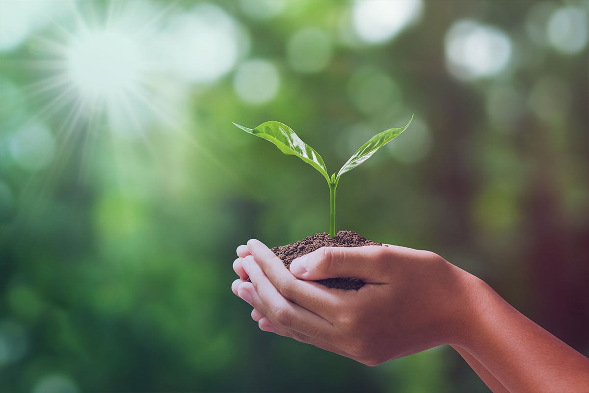 How to make your delivery process more sustainable